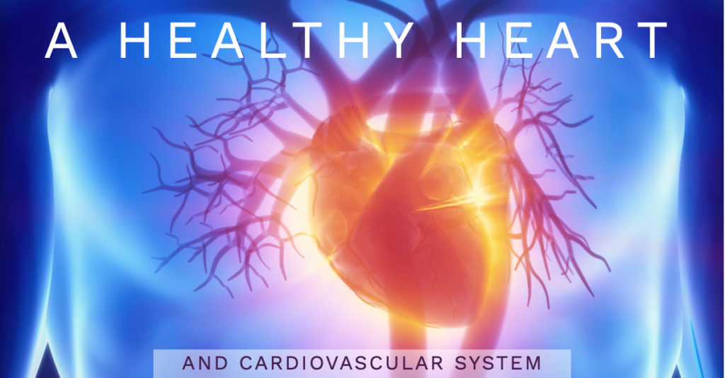 A Healthy Heart and Cardiovascular System